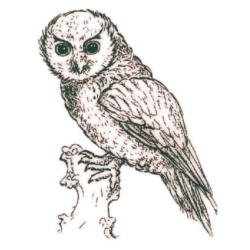 Contact Us - Grey Power