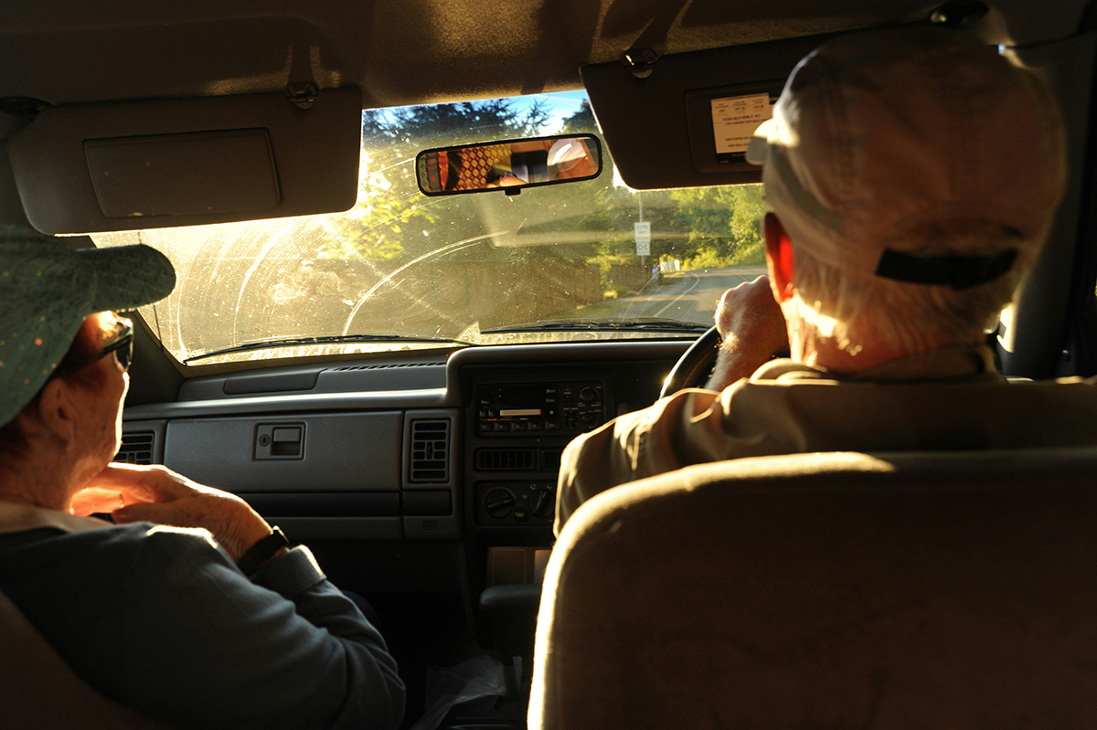 Senior driving licence renewal update - Grey Power