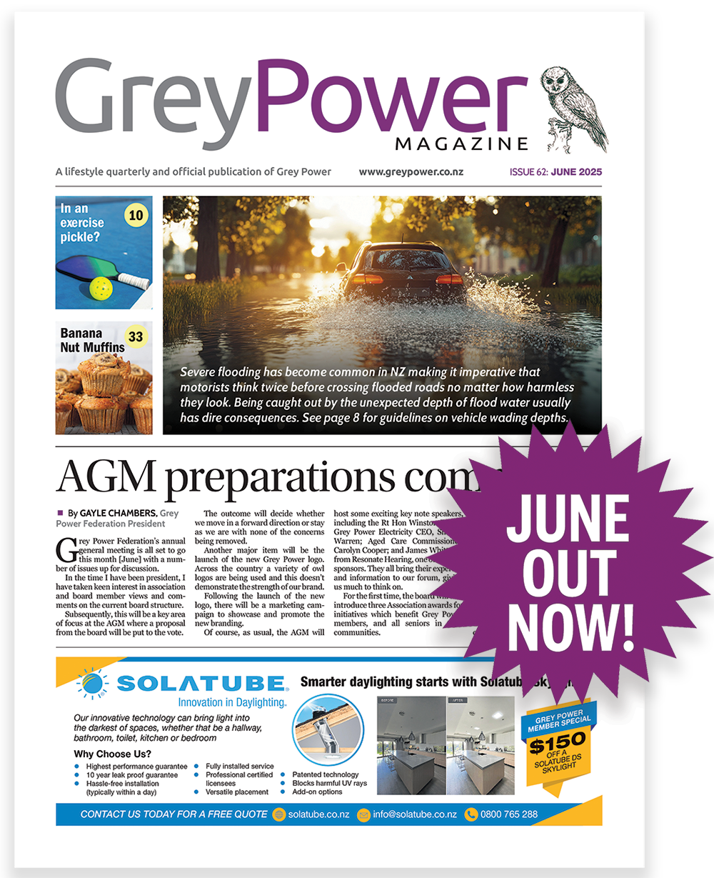 Homepage - Grey Power