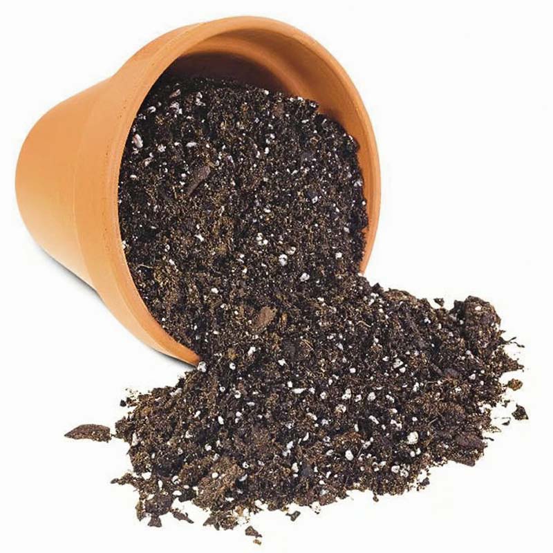 Compost and potting mix safety warning - Grey Power